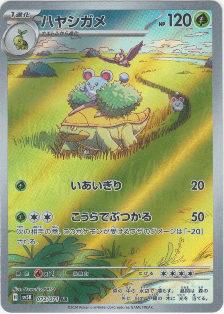 Yahoo!オークション - ハヤシガメ〔AR〕【草/1進化】 〈ワイルドフォー...