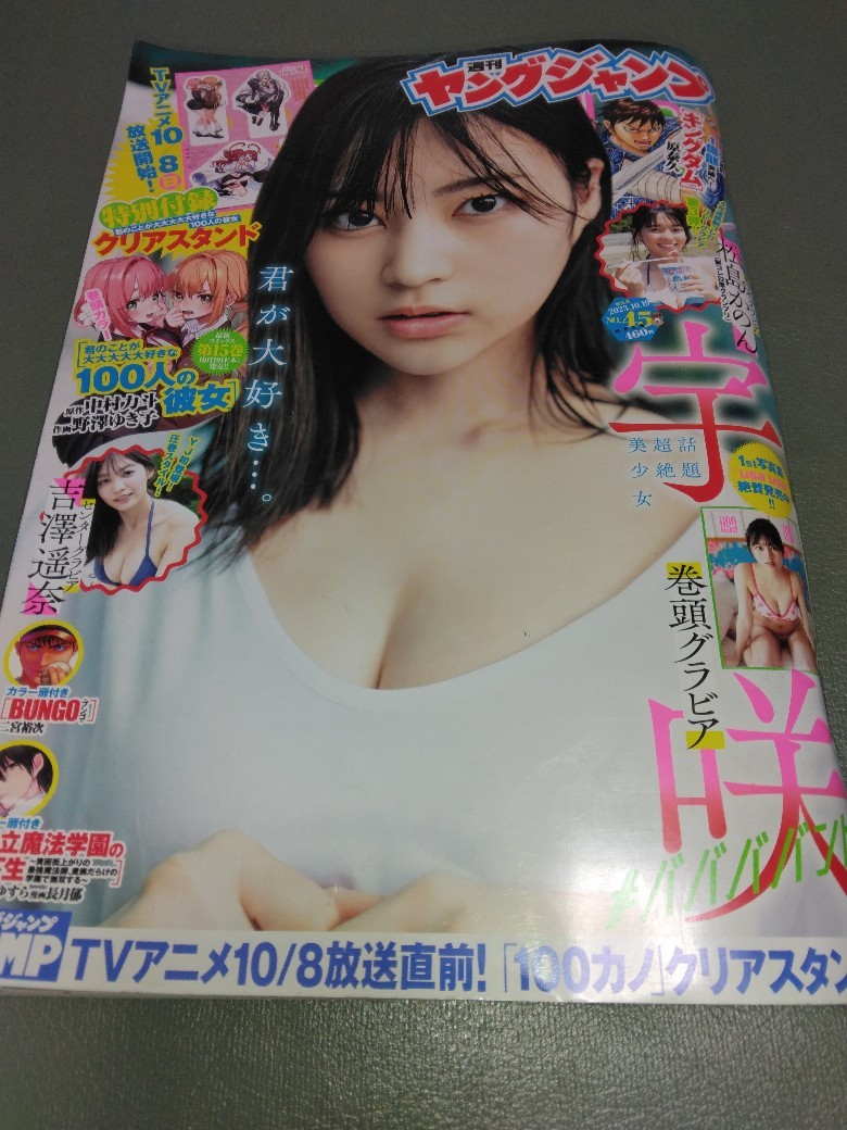 週刊ヤングジャンプ 2023年10月19日号 No 45号 宇咲 送料185円-230円 雑誌 ヤングジャンプ |売買されたオークション情報