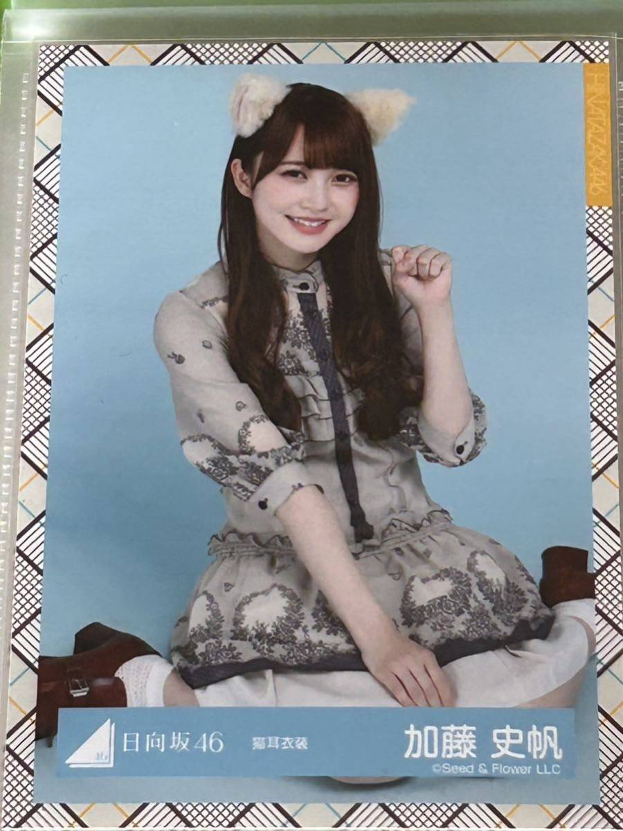 日向坂46生写真加藤史帆猫耳衣装4枚フルコンプセット-寫真–日本 日向坂46生写真加藤史帆猫耳衣装4枚フルコンプセット-寫真–日本