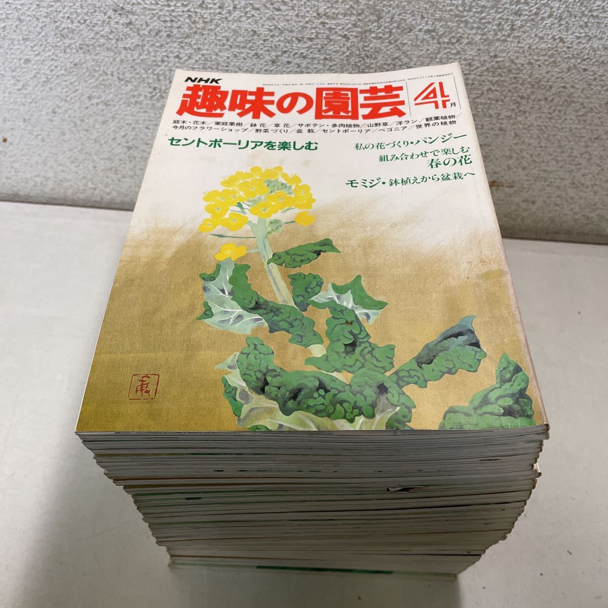 Yahoo!オークション - 220924 C05上 NHK 趣味の園芸 テキスト 昭和56年...