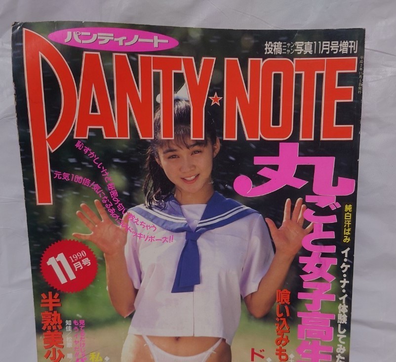 パンティノート PANTY NOTE 投稿ニャンニャン写真11月号増刊 1990年 サン出版(アイドル、芸能人)｜売買されたオークション情報、yahooの商品情報をアーカイブ公開 ...