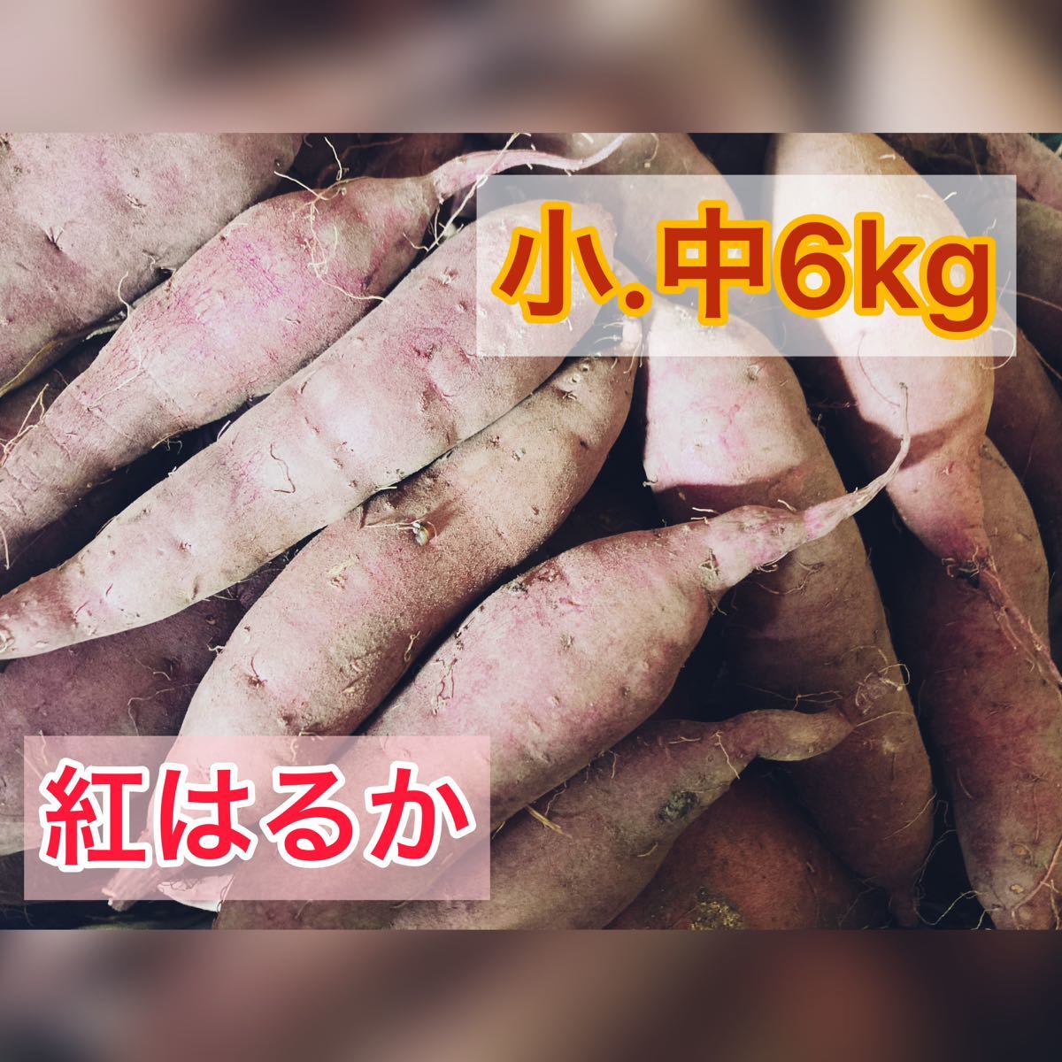 Yahoo!オークション - さつまいも 紅はるか 食べきりサイズ 6kg 1000円...