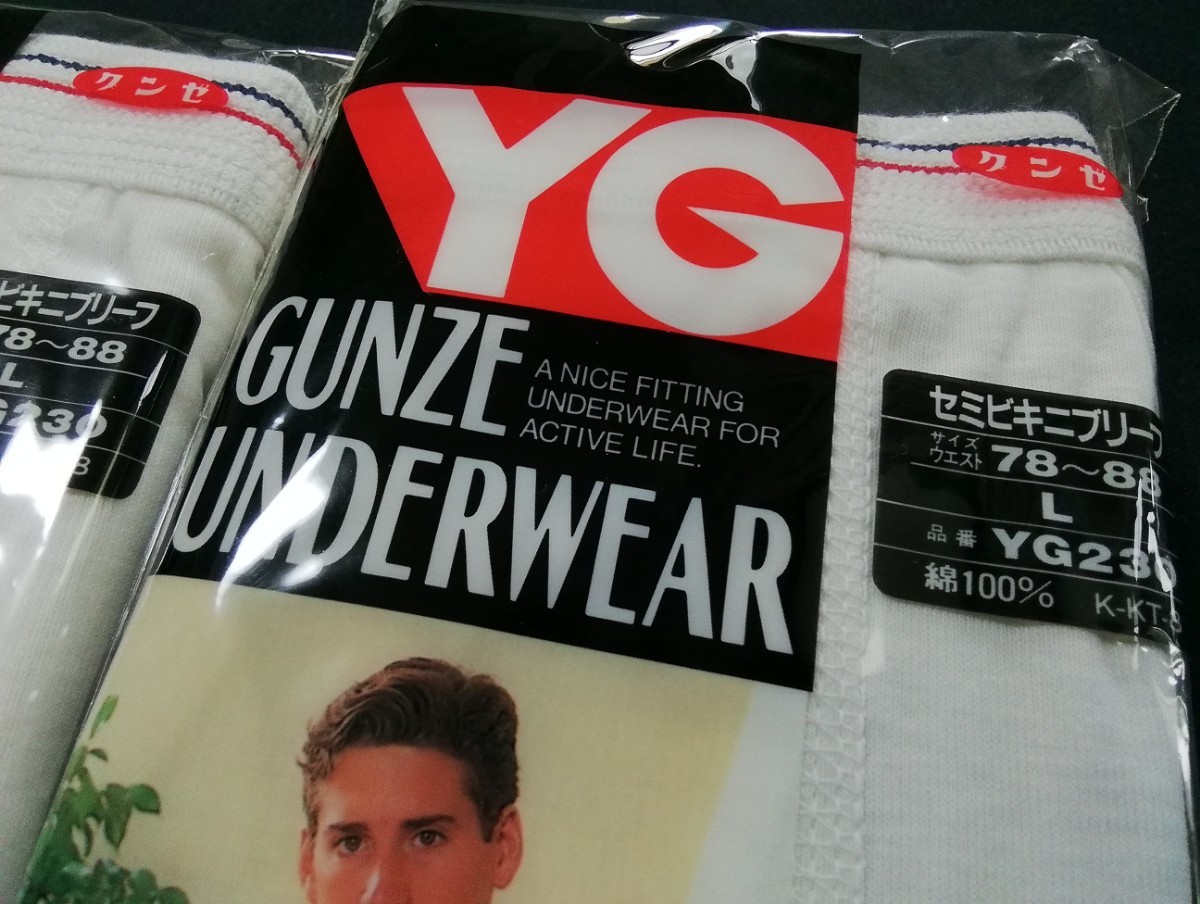 Yahoo!オークション - GUNZE YG UNDER WEAR レトロ グンゼ セミビキニ...