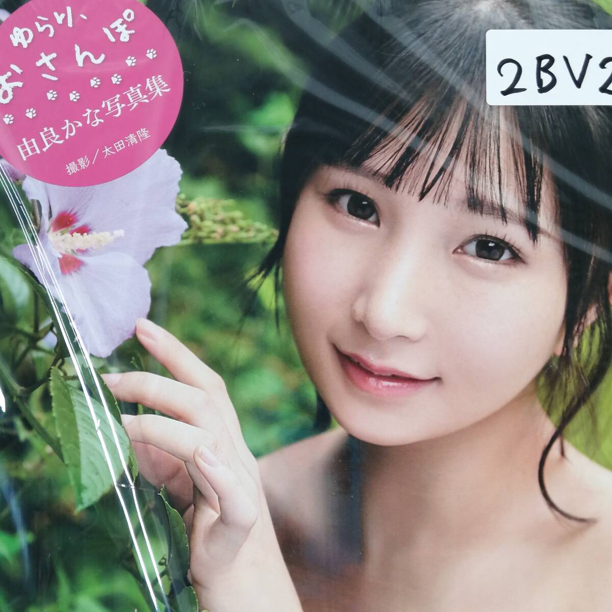 Yahoo オークション 【未開封】由良かな 写真集 「ゆらりおさんぽ」