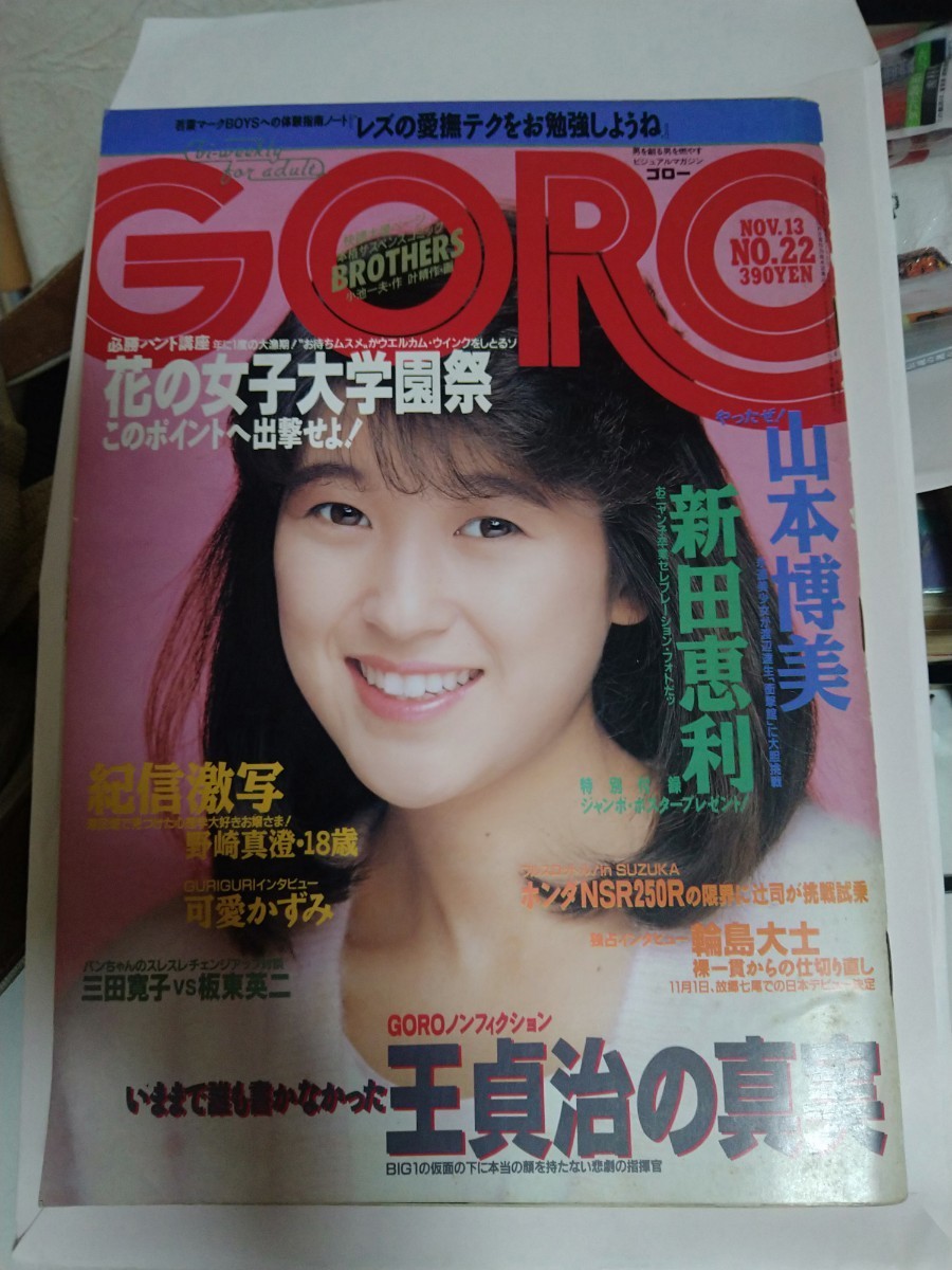 GORO ゴロー 篠山激写 新田恵利 特別付録ジャンボポスター 昭和61年11月13日発行 酒井法子 山本博美 野崎真澄 可愛かずみ 1986年(その他)｜売買されたオークション情報 ...