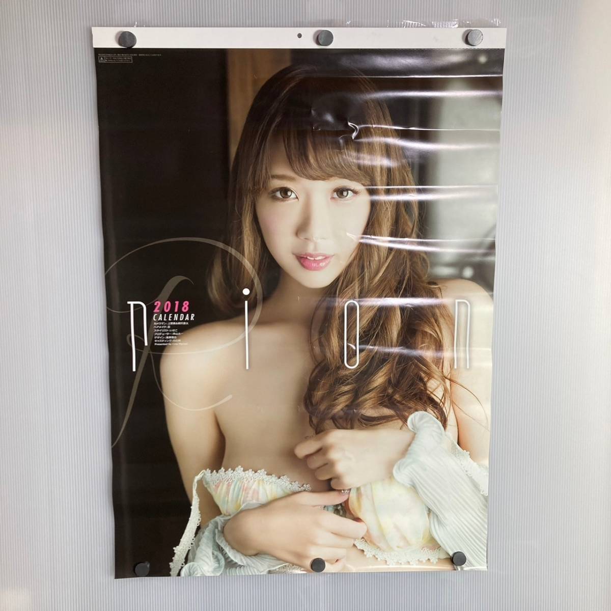 Yahoo!オークション - RION 2018年度カレンダー 壁掛け サイズ B2 8枚...