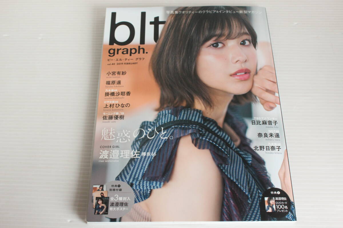 Blt Graph Vol 40 ビー エル ティー グラフ 魅惑のひと 渡邉理佐 付録ポスター付 その他 |売買されたオークション情報
