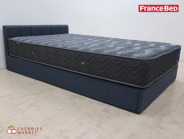 展示新同品 France Bed フランスベッド LT-7700C PW ハードマットレス IQベッド LINCOLN リンカーン セミダブルベッド 31万 ②(マットレス付き)｜売買された ...