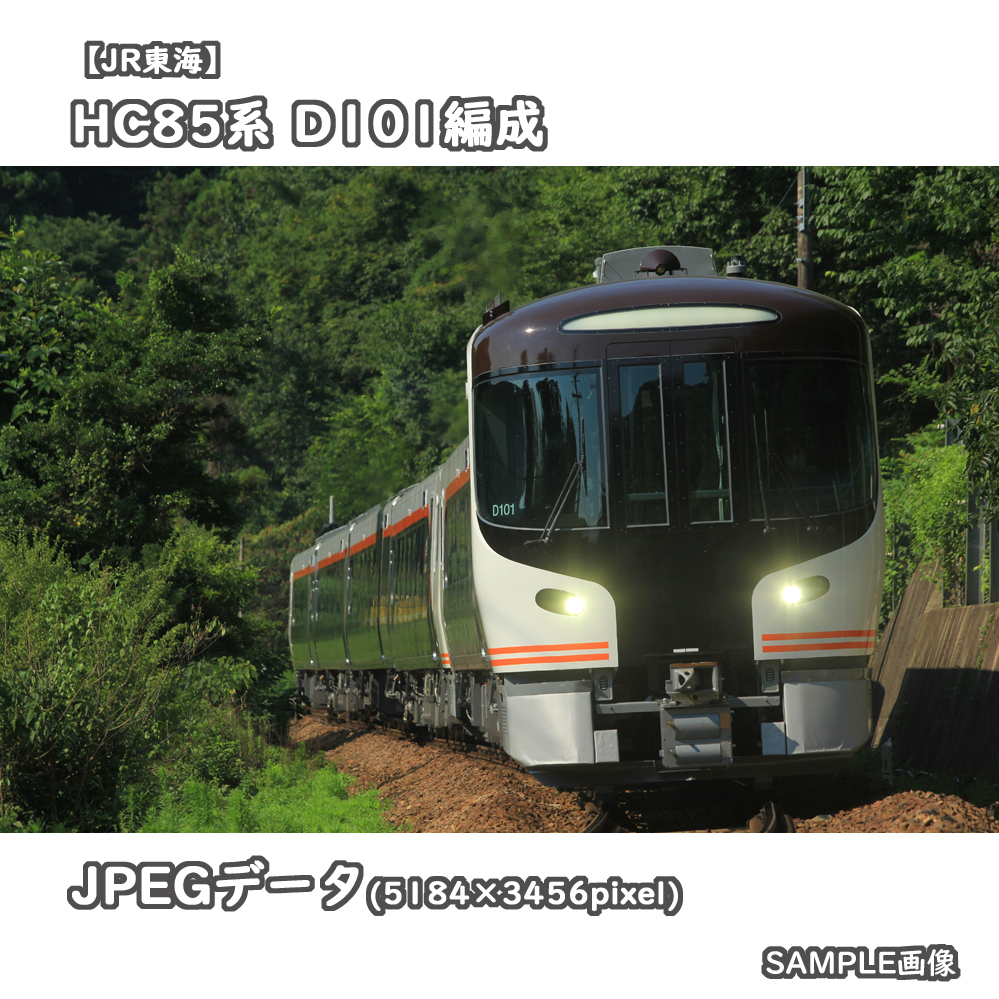 Yahoo!オークション - 鉄道デジタル画像【JR東海】HC85系気動車 D101...