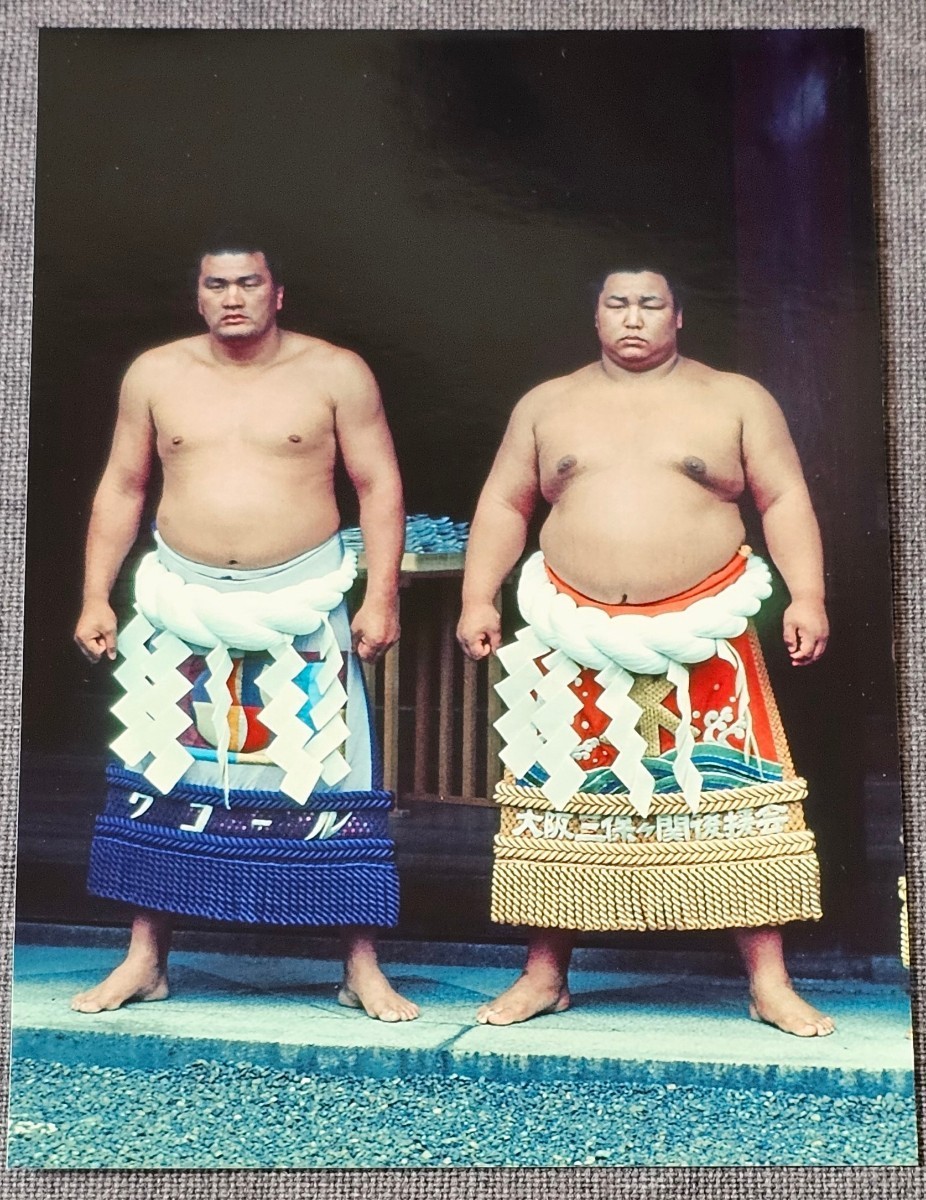 Yahoo!オークション - DNP加工のLサイズカラー生写真/二大横綱(輪島 北...