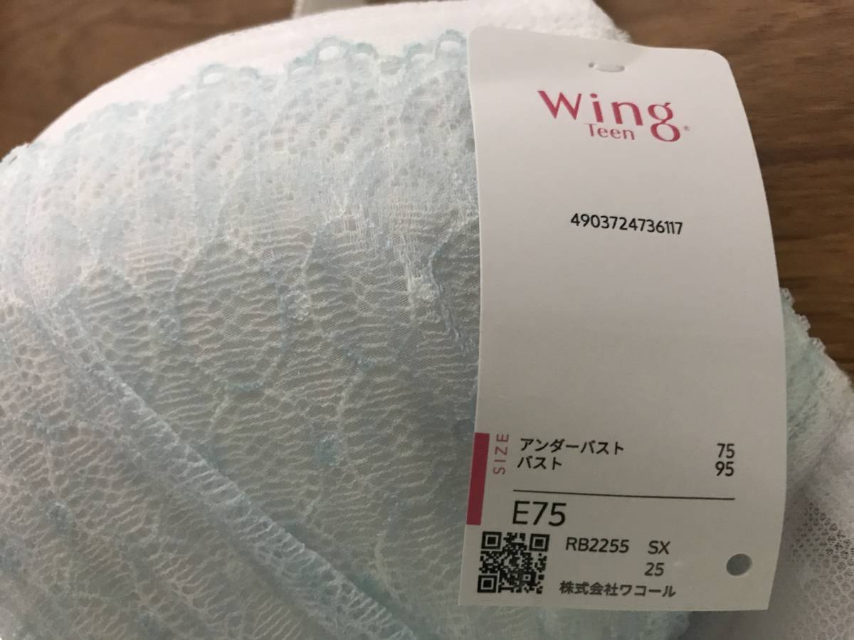 Yahoo!オークション - 新品ワコール「Pulili」ブラジャーサイズE75 RB2...