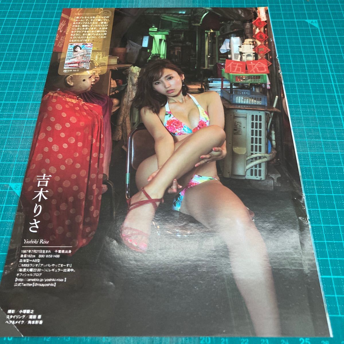 Yahoo!オークション - A15 切り抜き 芹那吉木りさ