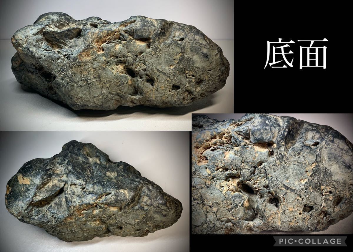 【信濃美術石博物館】 水石 盆栽 天竜川石 ウブ 横31×高18×奥行14(cm) 10.44kg骨董盆石古美術鑑賞石観賞石太湖石中国古玩 5458｜代購幫