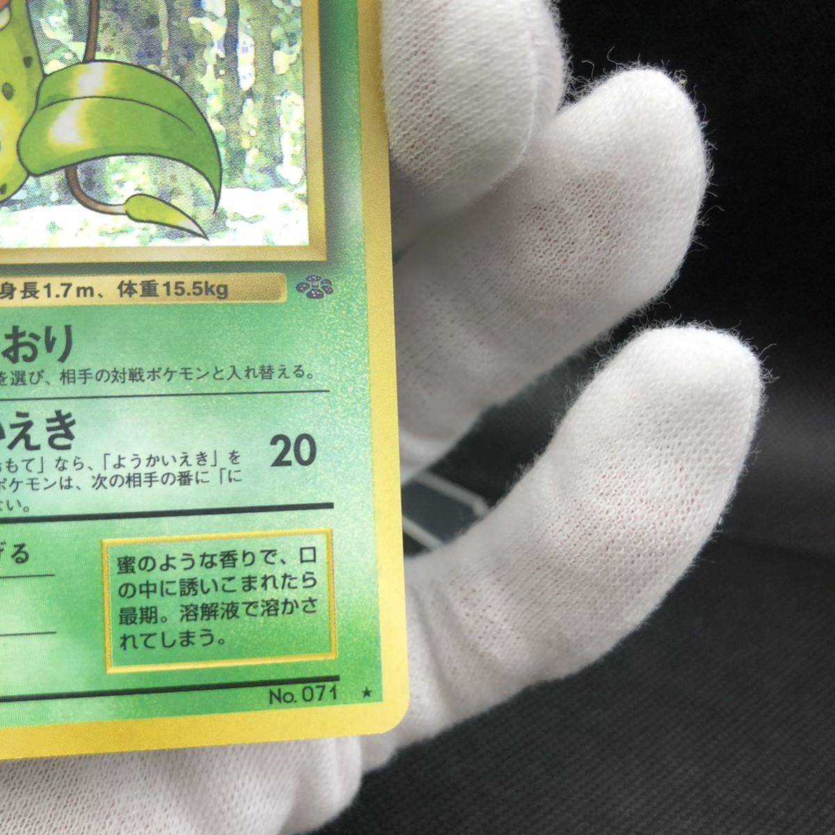 ポケモンカード 旧裏 旧裏面 キラ ウツボット|Yahoo!フリマ(旧 ポケモンカード 旧裏 旧裏面 キラ ウツボット|Yahoo!フリマ(旧