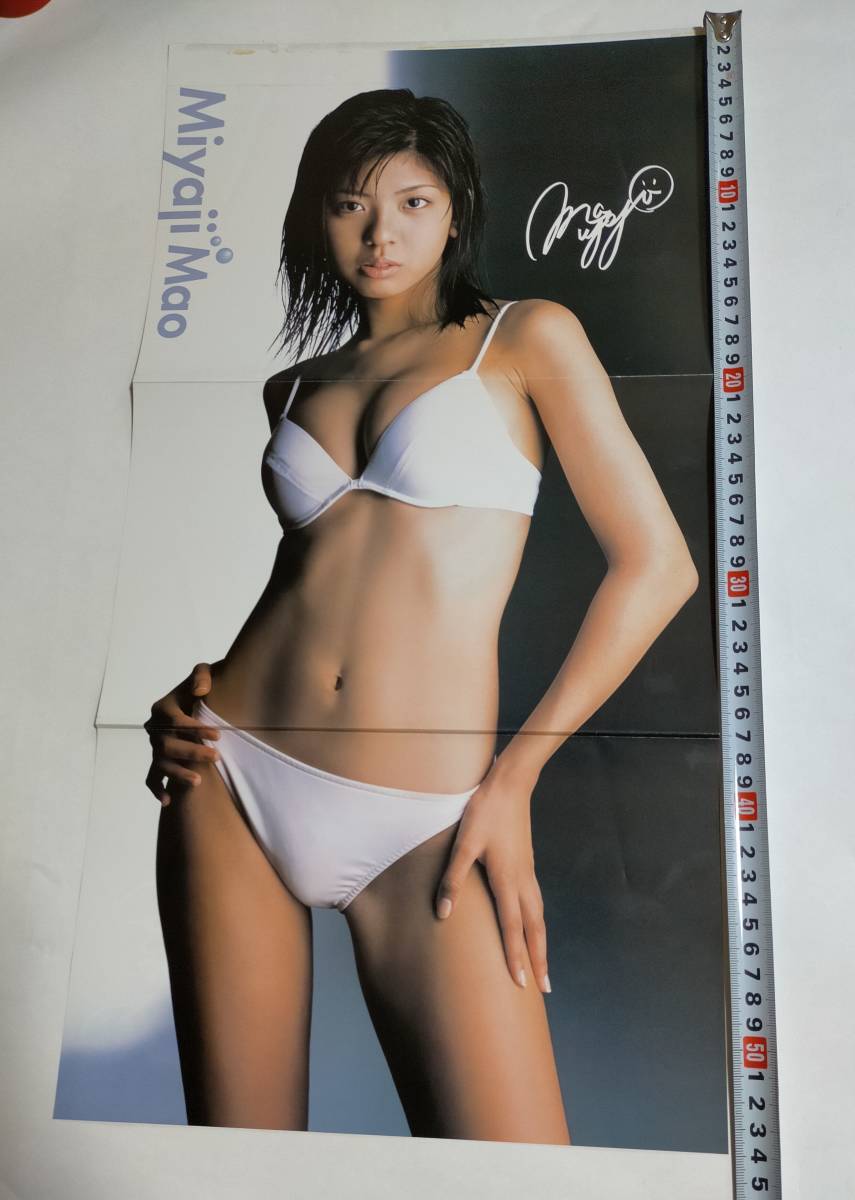 切り抜き 両面ピンナップ ポスター 約54㎝×約28㎝ 月刊アサヒ芸能エンタメ 宮地真緒 水着 ビキニ P001(ま行)｜売買されたオークション情報、yahooの商品情報をアーカイブ公開 ...