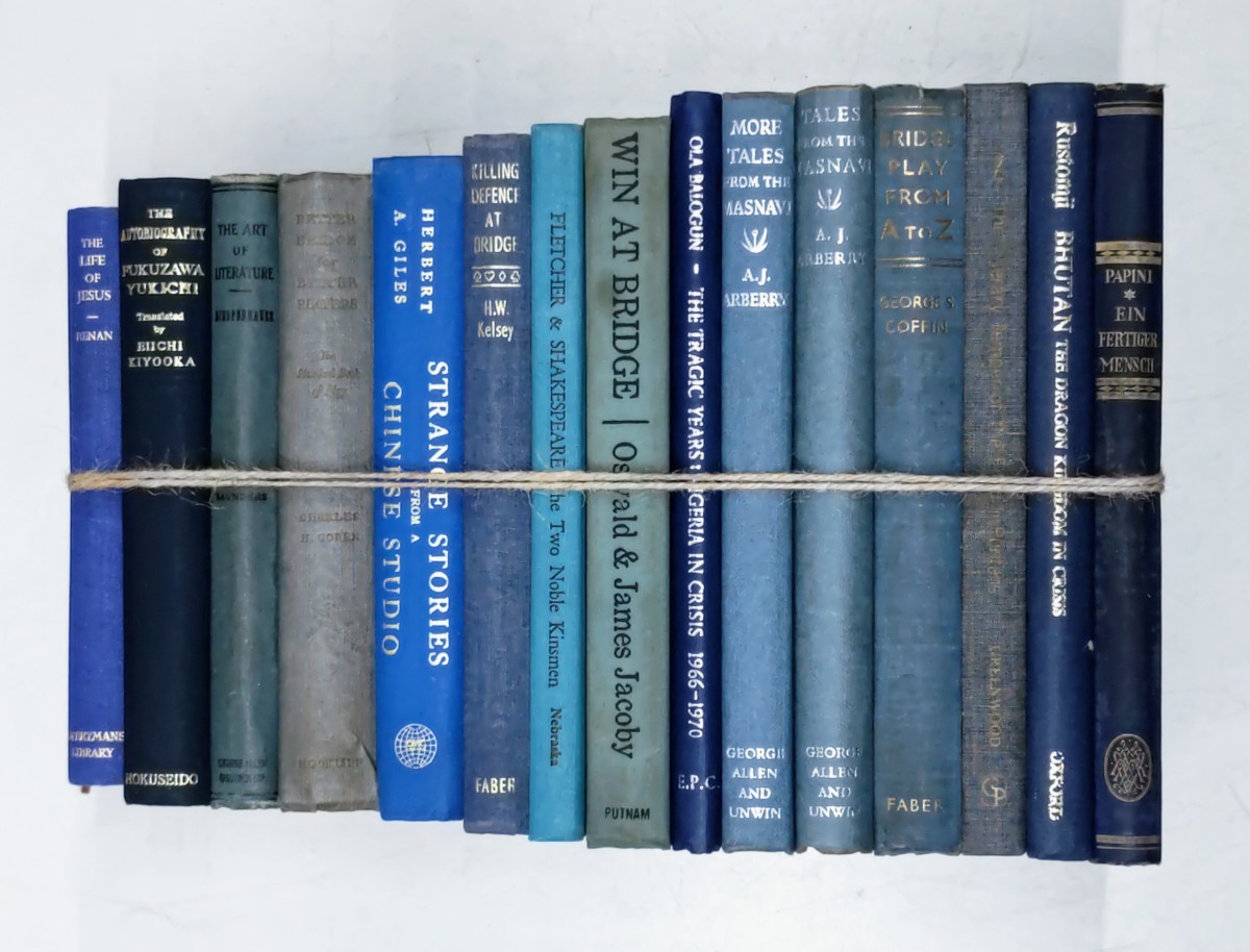 日本代購代標第一品牌【樂淘letao】－e0207-11 洋書 ブルー まとめ ディスプレイ 青 紺色 ネイビー 水色 レトロ アンティーク ハードカバー 装飾 インテリア お洒落 寒色