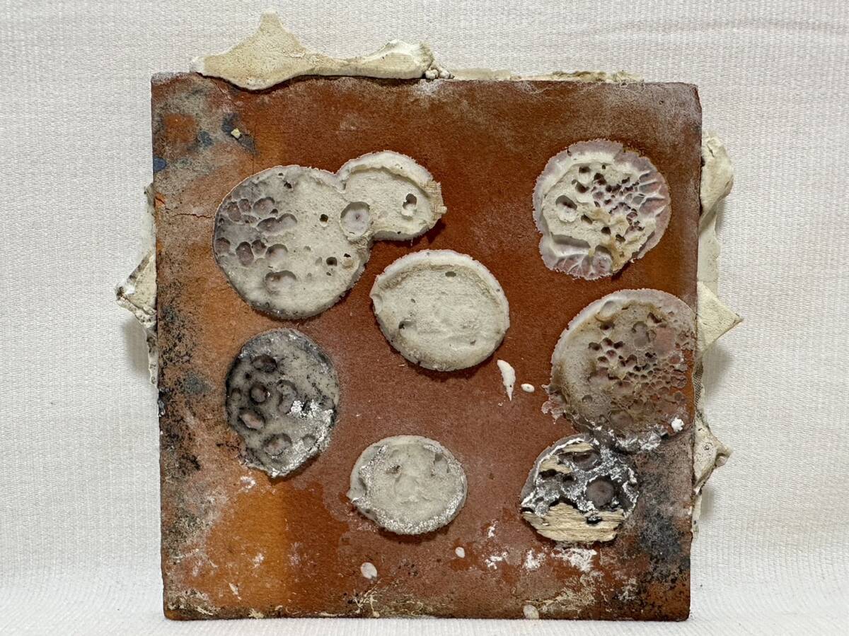 Yahoo!オークション - ・ タイル 【TR7 花柄 マジョリカタイル デルフ...