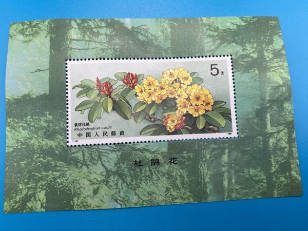 Yahoo!オークション - 中国切手 T162（1991） 1枚 中国古代神話 新品未...