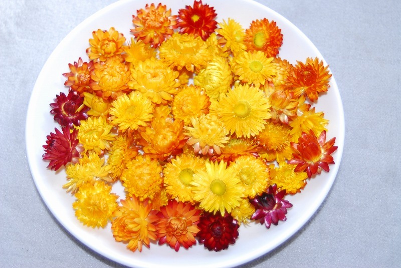 Yahoo!オークション - 帝王貝細工 ヘリクリサムヘッド 50個 N33-6