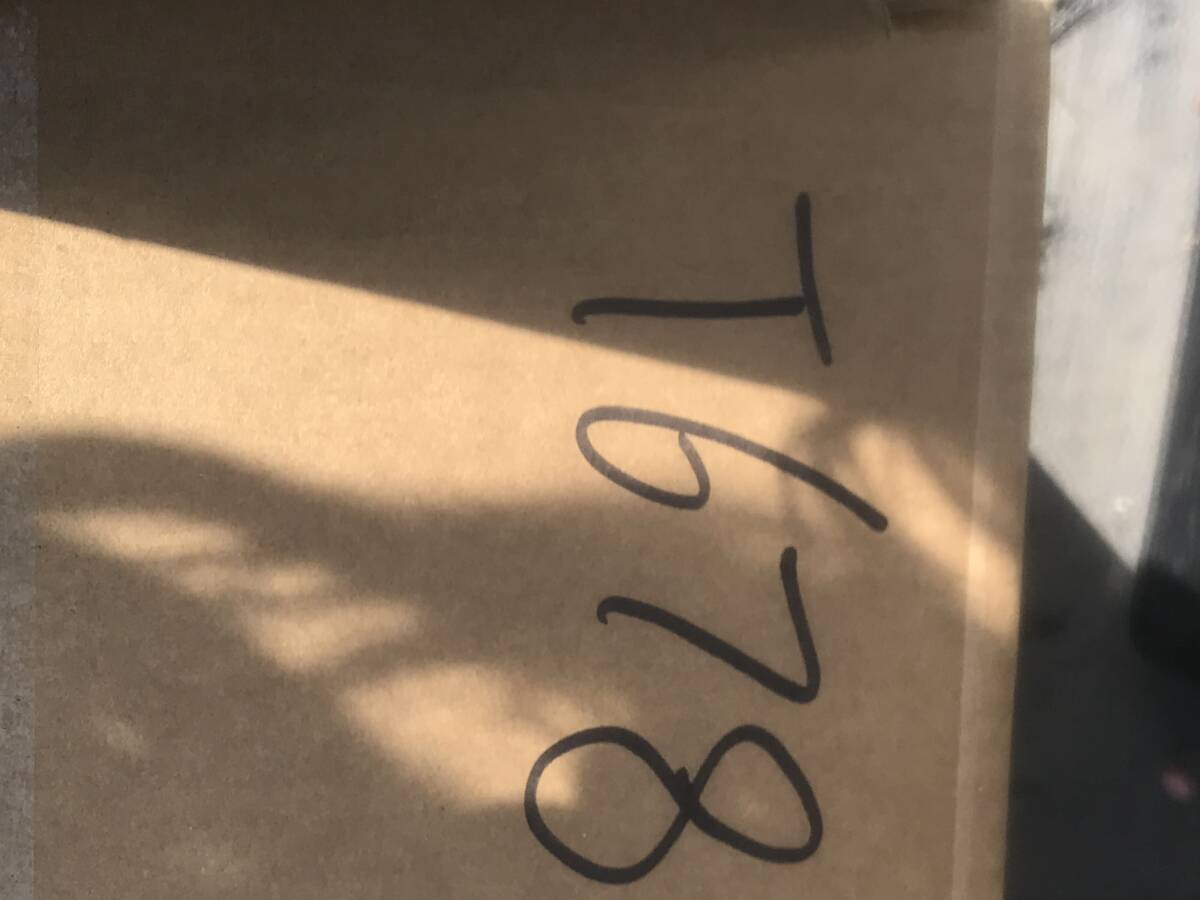 Yahoo!オークション - 105株 T678-19多肉植物 エケベリア 赤い卵 超美...