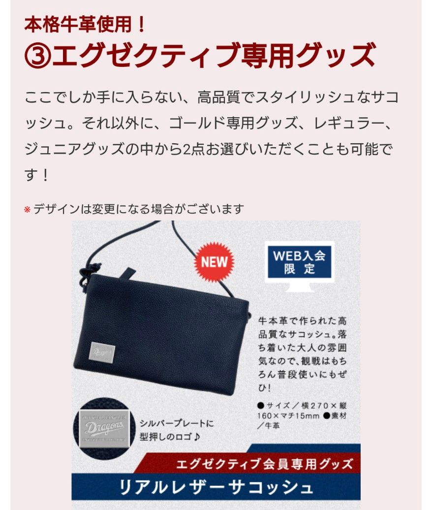 中日ドラゴンズ ファンクラブ 限定 非売品オリジナル リュック 中日ドラゴンズ ファンクラブ 限定 非売品オリジナル リュック