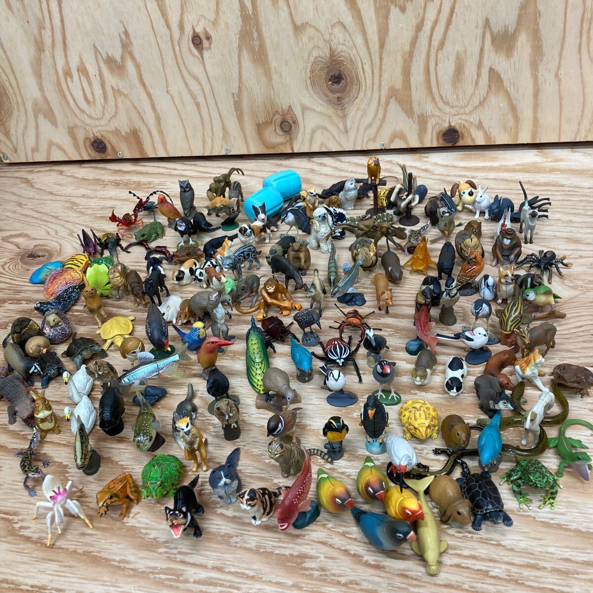 Yahoo!オークション - 海洋堂 KAIYODO チョコQ choco Q アニマル フィ...