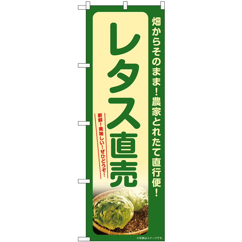 Yahoo!オークション - のぼり旗 2枚セット レタス直売 SNB-7312