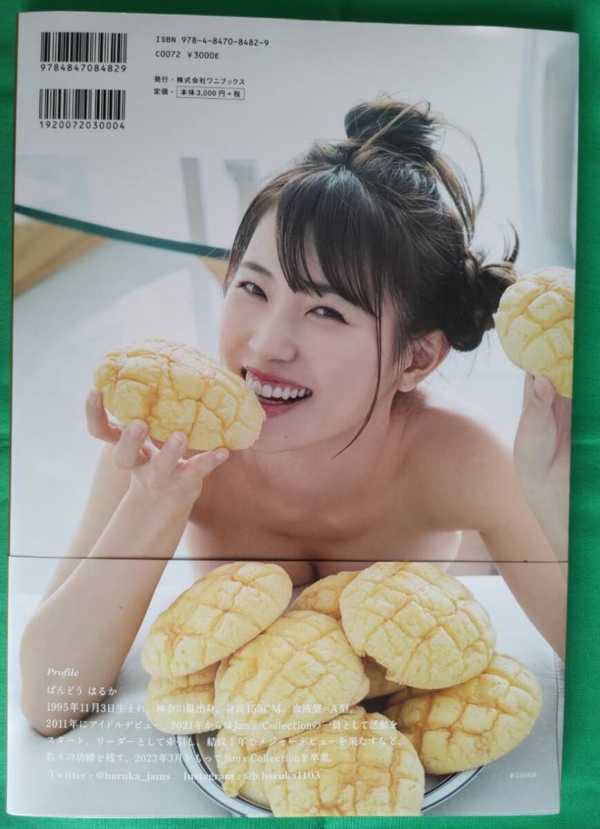 Yahoo!オークション - 坂東遥 1st写真集【 3663】帯あり初版本 特典ポ...