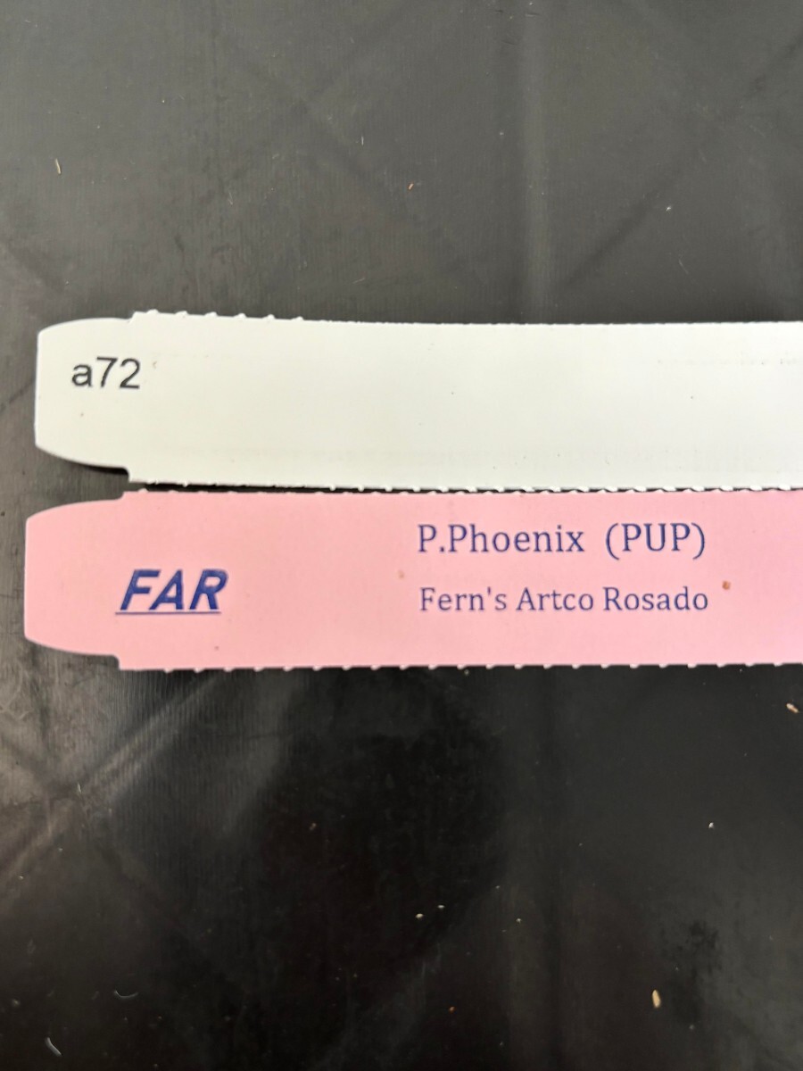 Yahoo!オークション - a172 P.Phoenix pup 株分け 子株 ビカクシダ 証...