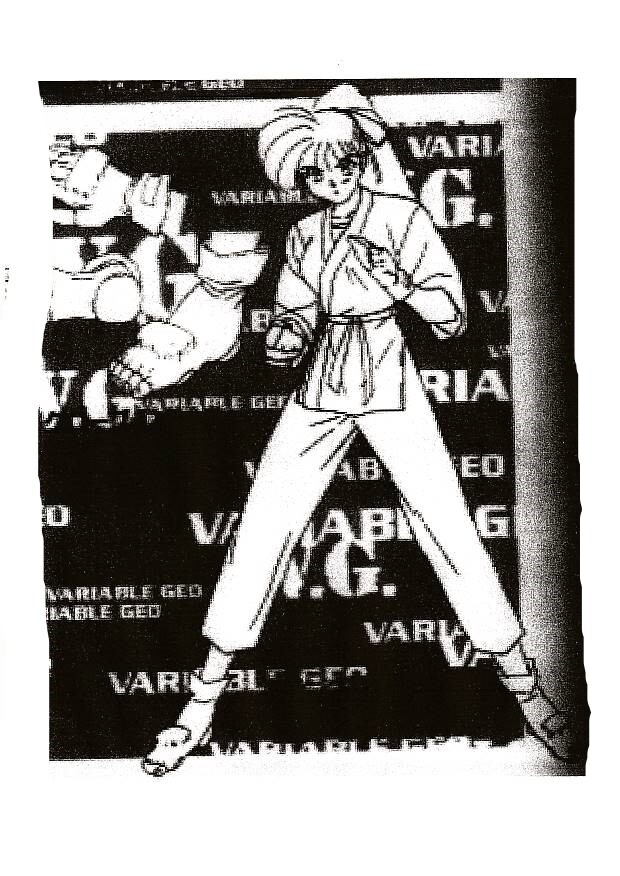 Yahoo!オークション - 「 V.G.NEO / ヴァリアブル・ジオ・ネオ 」設定...