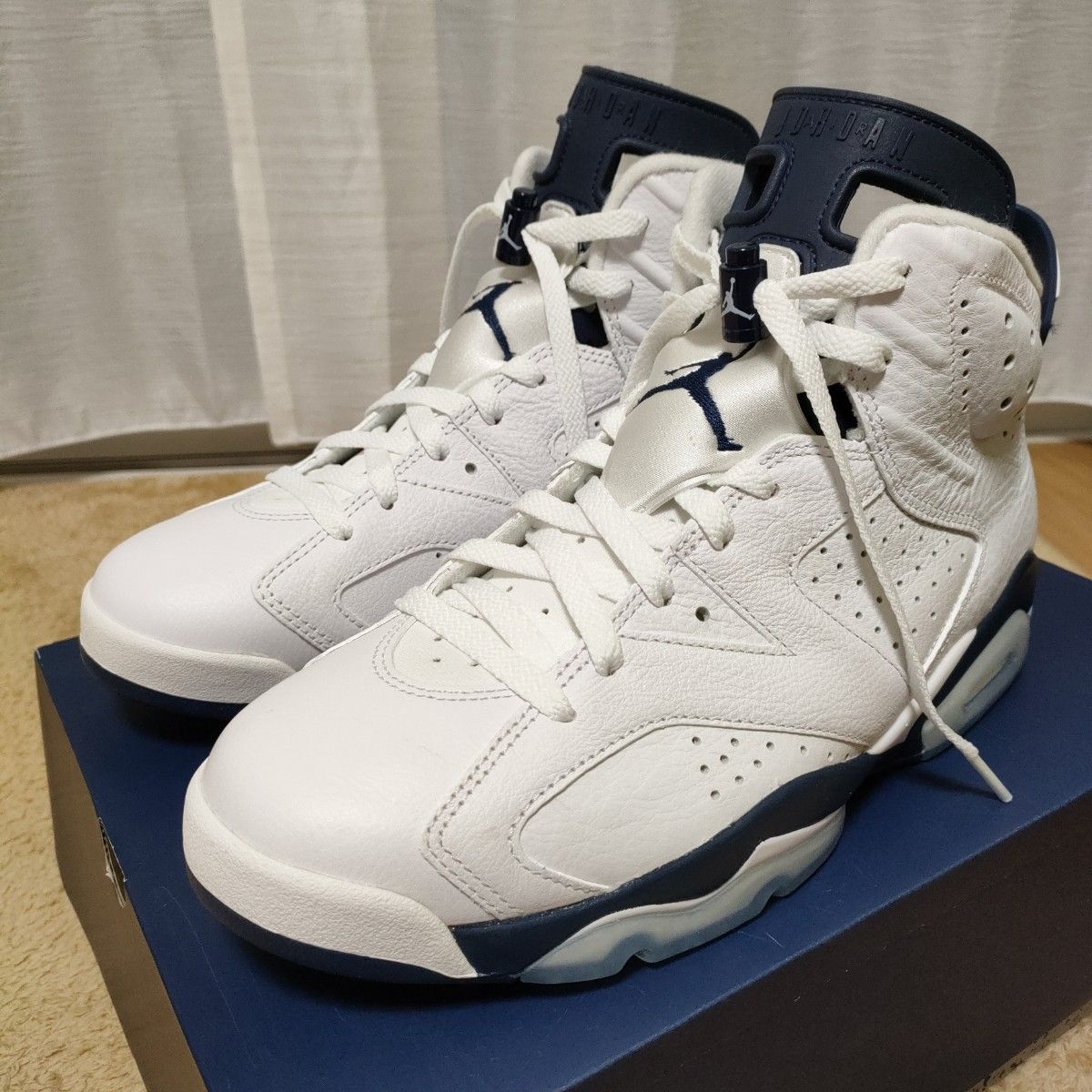 新品未使用 NIKE AIR JORDAN 6 27 5cm ナイキ エア ジョーダン6 新品未使用 NIKE AIR JORDAN 6 27 5cm ナイキ エア ジョーダン6