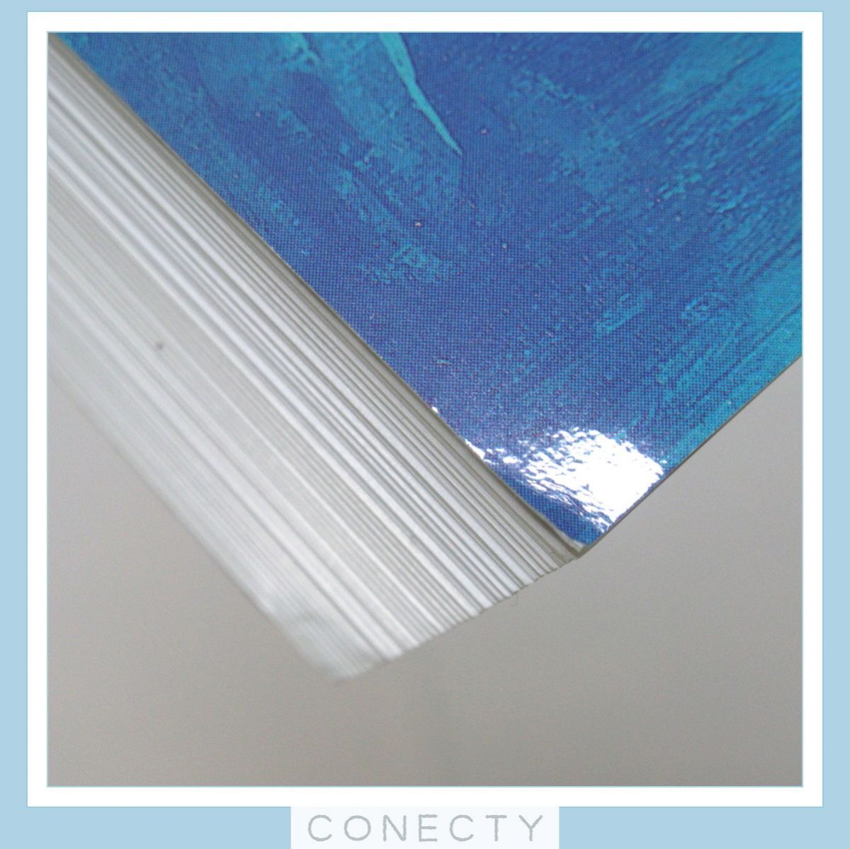 Yahoo!オークション - ユニコーン UNICORN 限定写真集 秘宝 Hi-Ho tvk ...