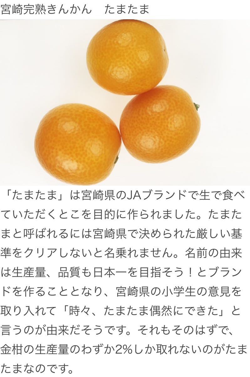 Yahoo!オークション - 【日本最安値 】A品限定 JA宮﨑 完熟きんかん た...