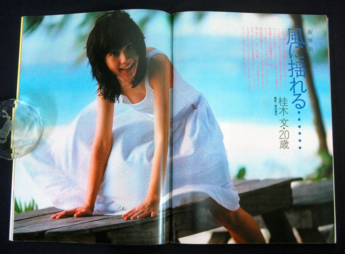 日本代購代標第一品牌【樂淘letao】-goro 1981年5月28日号 日高のり子平山磨美水着 榊原郁恵松村智子山根麻衣矢野良子横須賀昌美川口雅代桂木文八木美代子 ゴロー