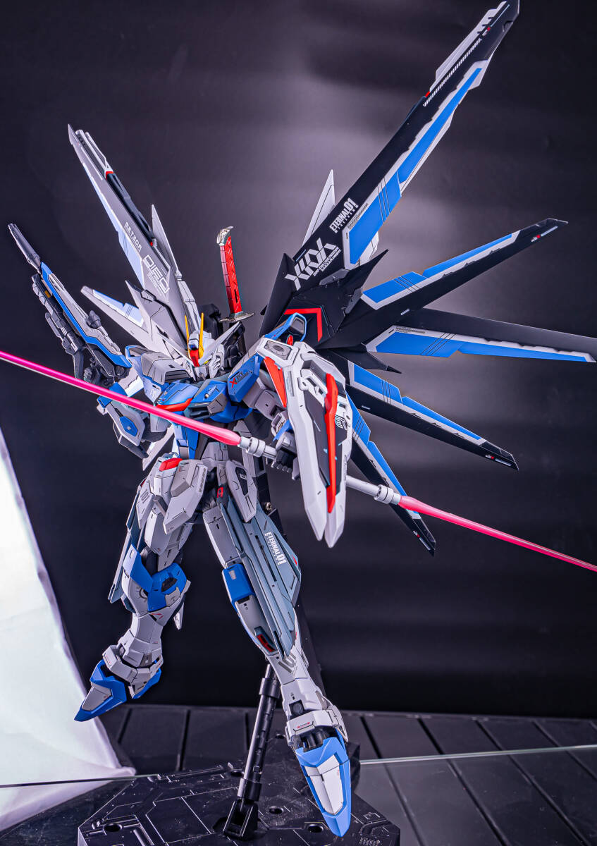 日本代購代標第一品牌【樂淘letao】－MGフリーダムガンダム オリジナルカスタム 1/100（ライジングフリーダムカラー）全塗装完成品 1円スタート