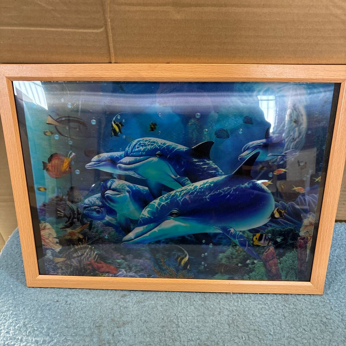 日本代購代標第一品牌【樂淘letao】－3Dアート アートフレーム 海の絵 海中 シャチ イルカ ウミガメ 3パターン 壁掛け インテリア
