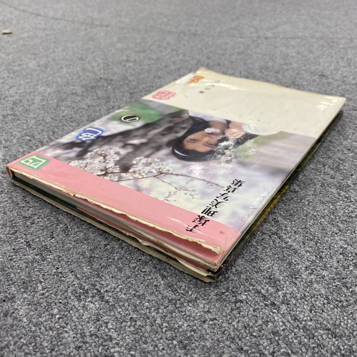 Yahoo!オークション - D627-Z13-183 手塚理美 写真集 「四色の花火」