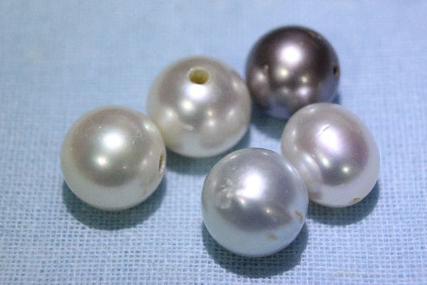 Yahoo!オークション - 南洋5個 11．43g サイズ 約10．0～12...