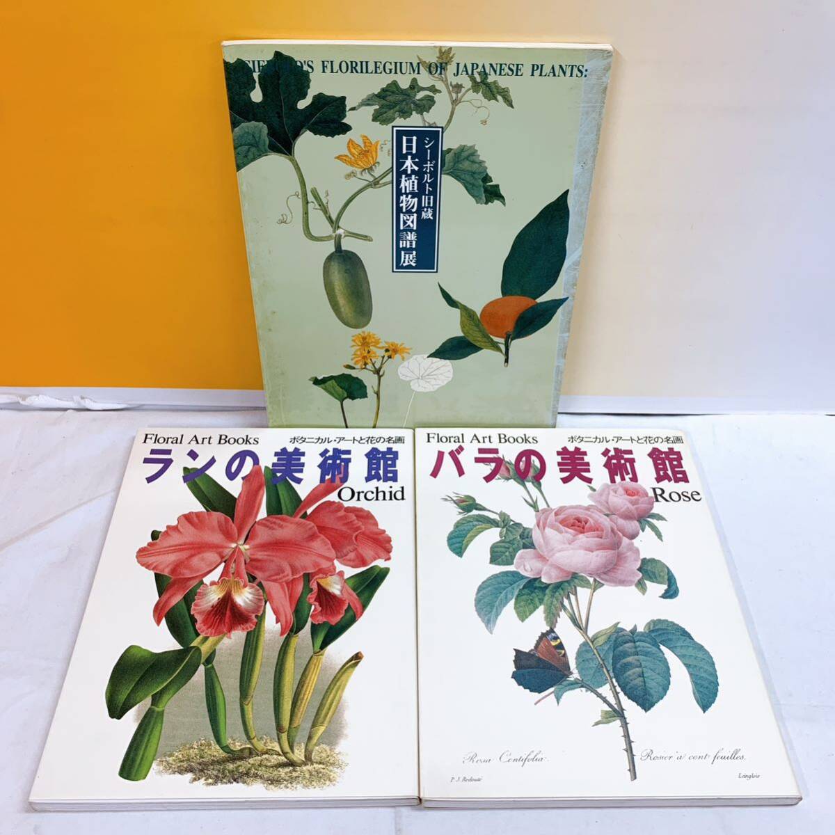 Q6-W4/19 植物イラスト本3冊 シーボルト旧蔵 日本植物図譜展 バラの美術館 ランの美術館 ボタニカルアートと花の名画(図録)｜売買されたオークション情報、yahooの商品情報を ...