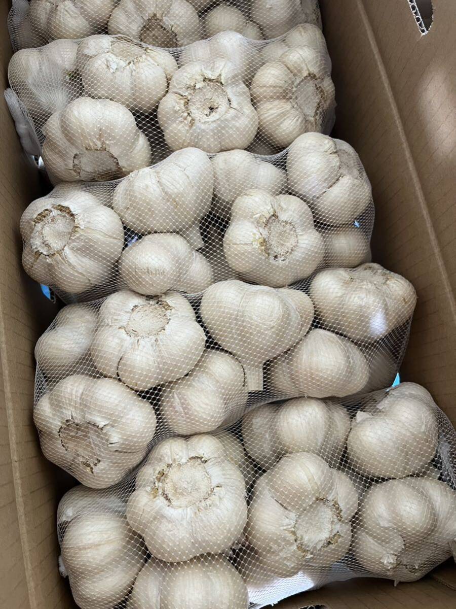 Yahoo!オークション - 青森県産 にんにく令和5年産 玉 L 10kg発...