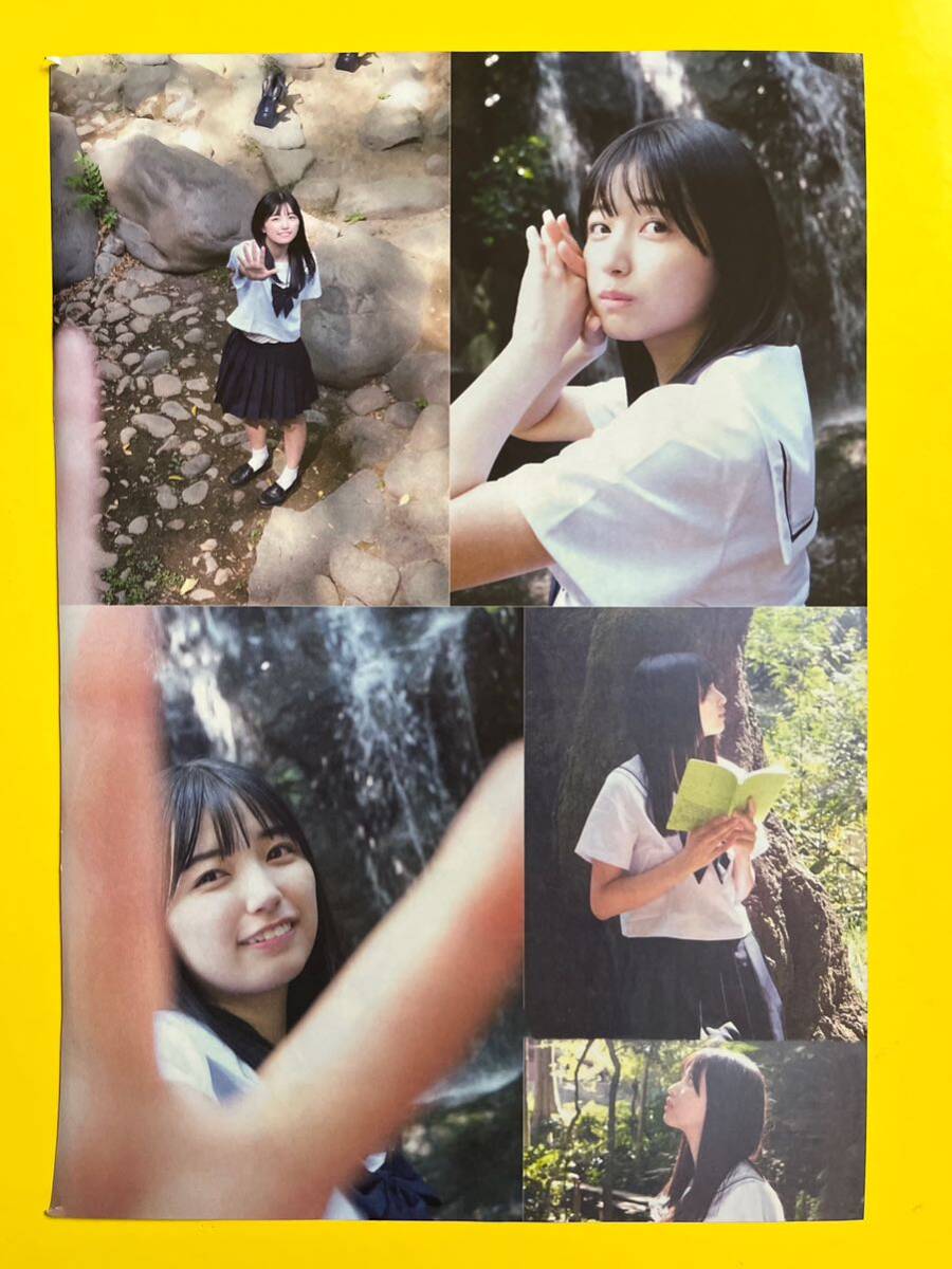 日本代購代標第一品牌【樂淘letao】－PB 1★五百城茉央(乃木坂46)★切り抜き12P プレイボーイ 2024 送料120円～