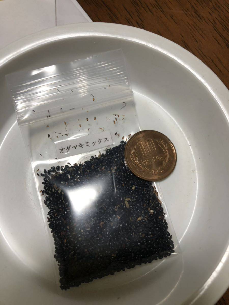 Yahoo!オークション - オダマキミックス