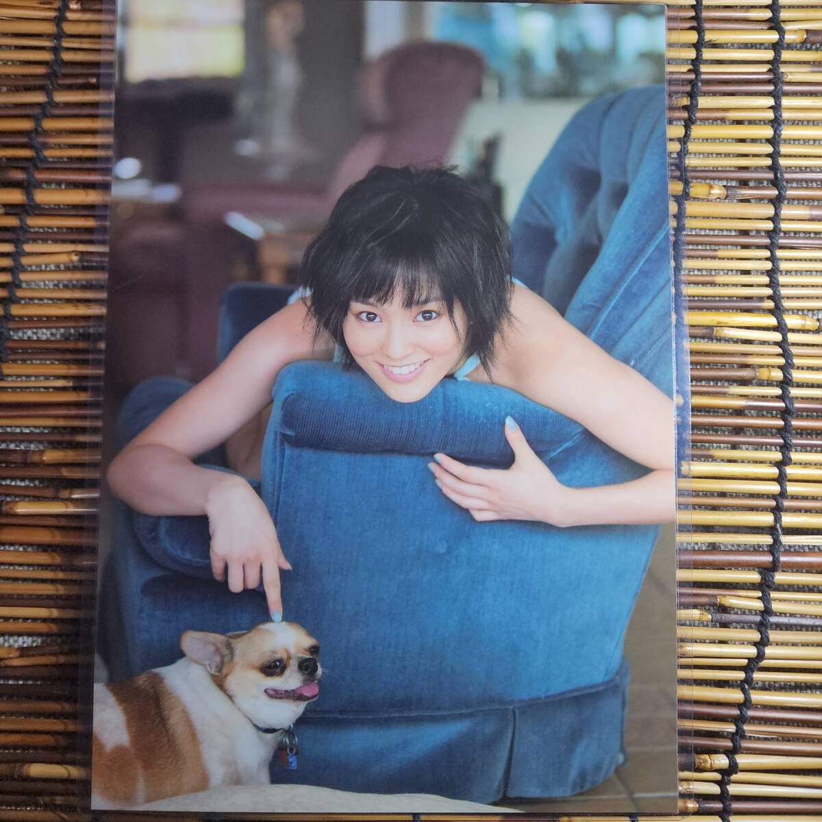 Yahoo!オークション - 【高品質厚手150μラミネート加工】山本彩 水...