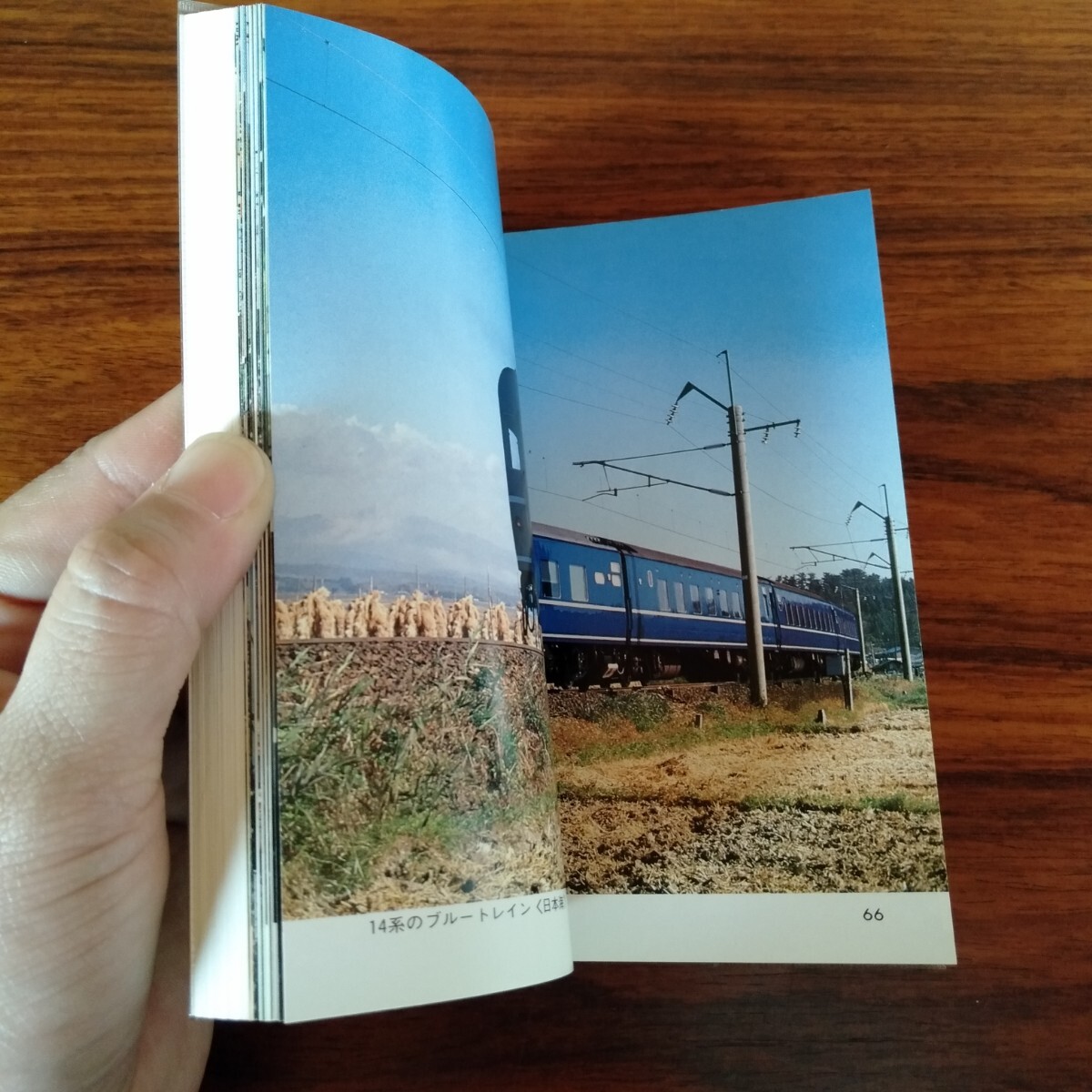 Yahoo!オークション - B262 カラーブックス 463 日本の特急列車 廣田尚...