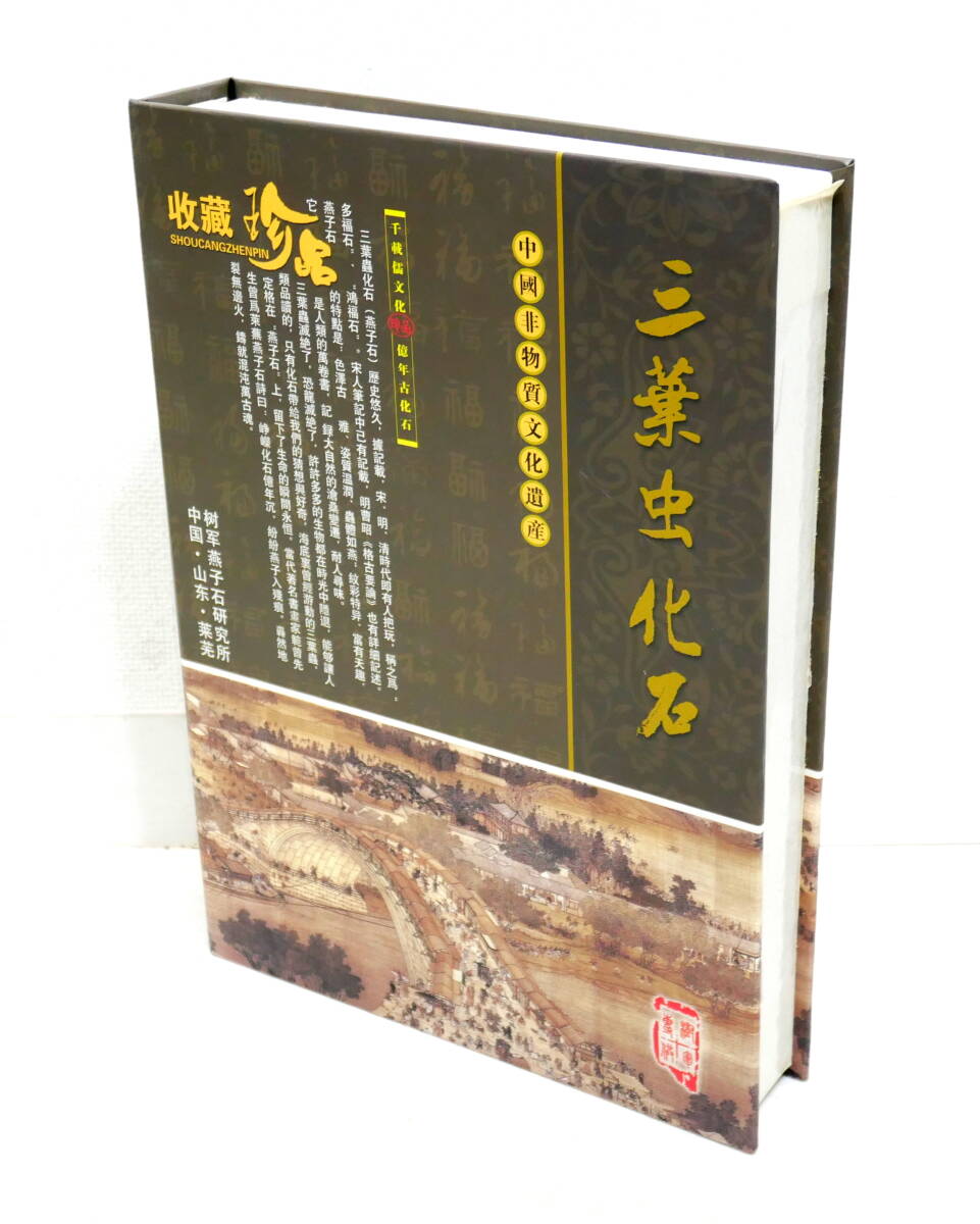 Yahoo!オークション - (R605-I110) 三葉虫化石 中国 古代 三葉虫 化石...