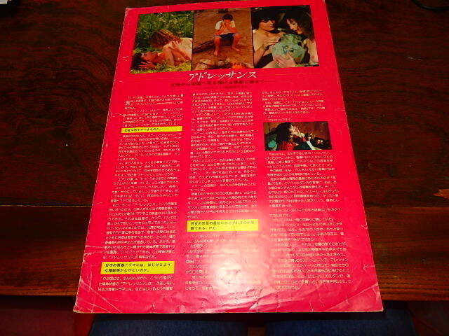 Yahoo!オークション - 映画プレスシート「p664 エデンの園（大判）」増...