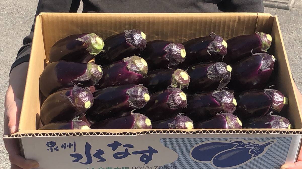Yahoo!オークション - 泉州 特産 水なす Aランク 約3.6kg (15~28玉入)
