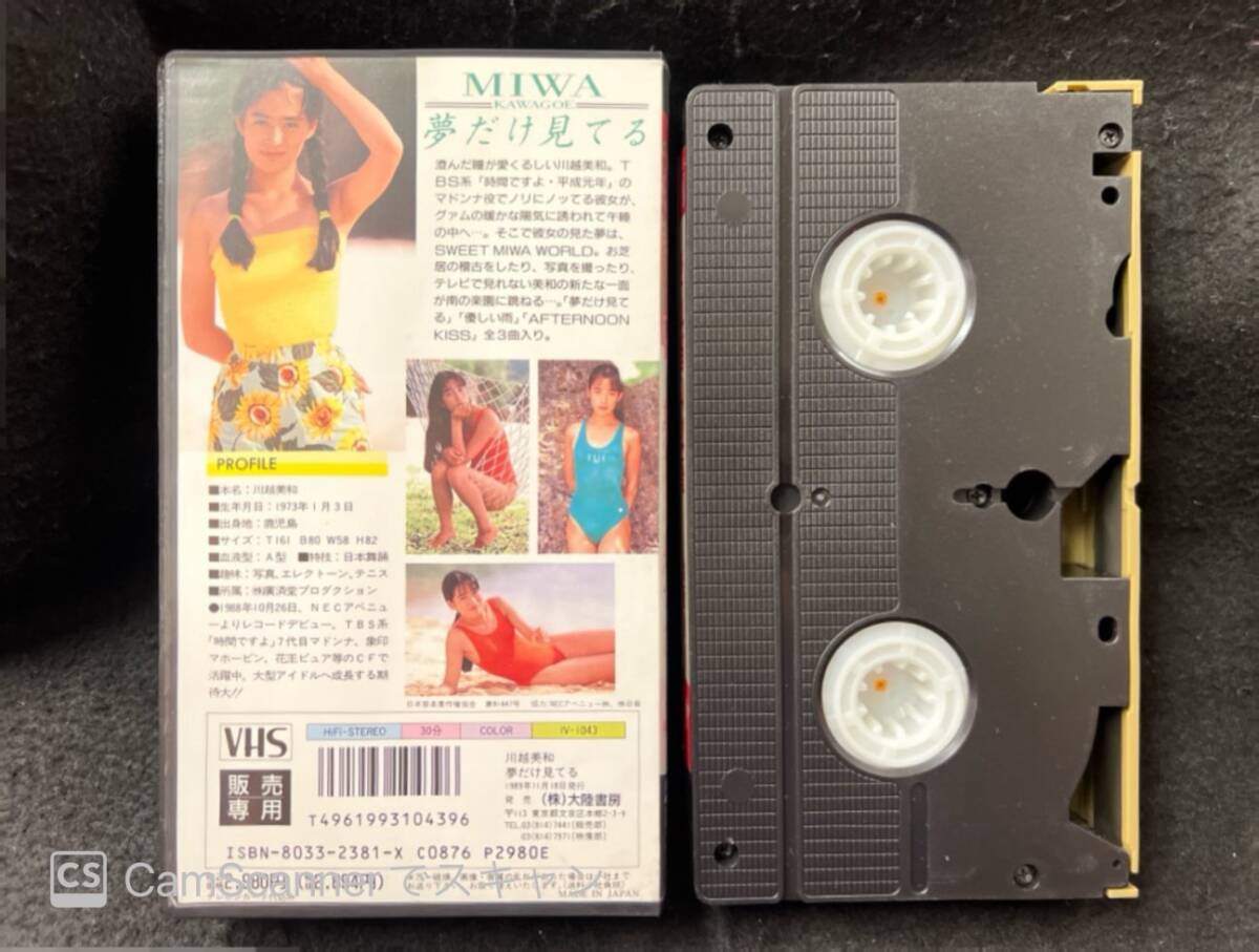 Yahoo!オークション - 【405イメージVHS】夢だけ見てる 川越美和 大陸...