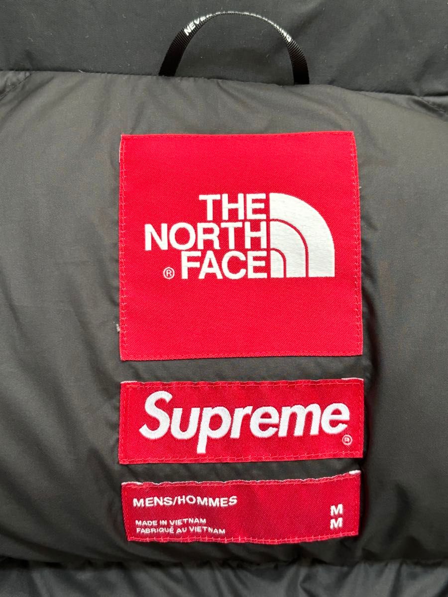 SUPREME THE NORTH FACE 自由の女神 バルトロダウンジャケット SUPREME THE NORTH FACE 自由の女神 バルトロダウンジャケット