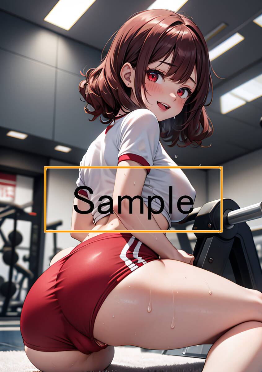 Yahoo!オークション - 一点物 A4 美女ポスター DQ4 アリーナ ドラゴン...